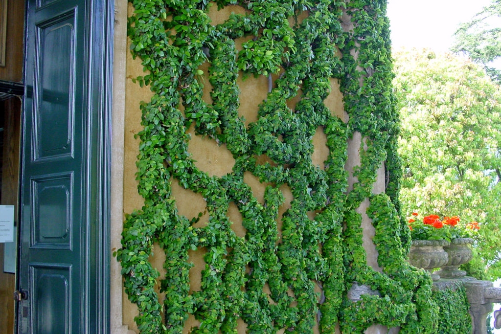 Postcards from Naboo, Lake Como - SWNZ, Star Wars New Zealand